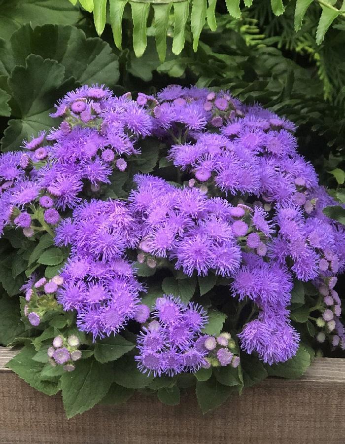 Каталог товаров Совместные покупки в Перми